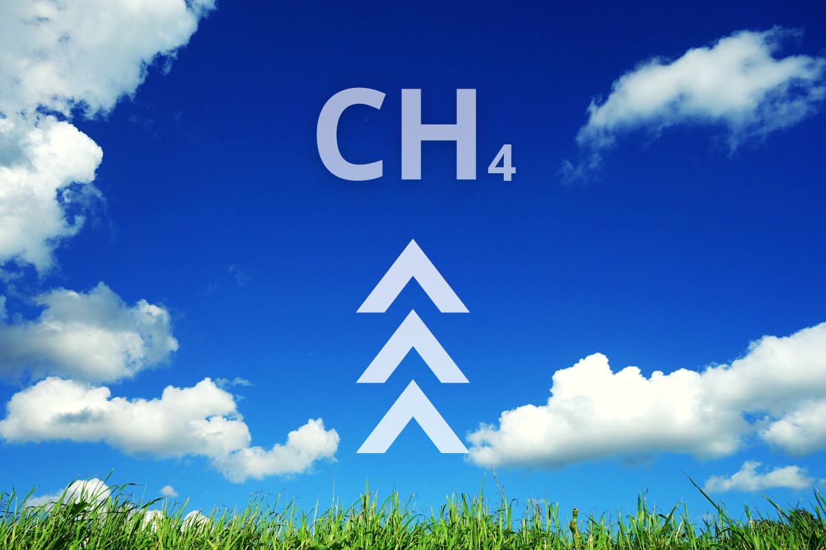 Emissões fugitivas de metano em aterros sanitários: entenda! - Carbono Zero