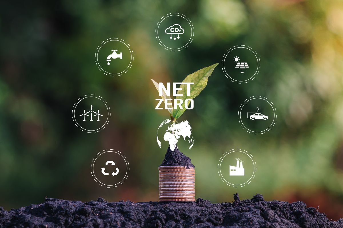 Net Zero: o que é e para que serve - Carbono Zero